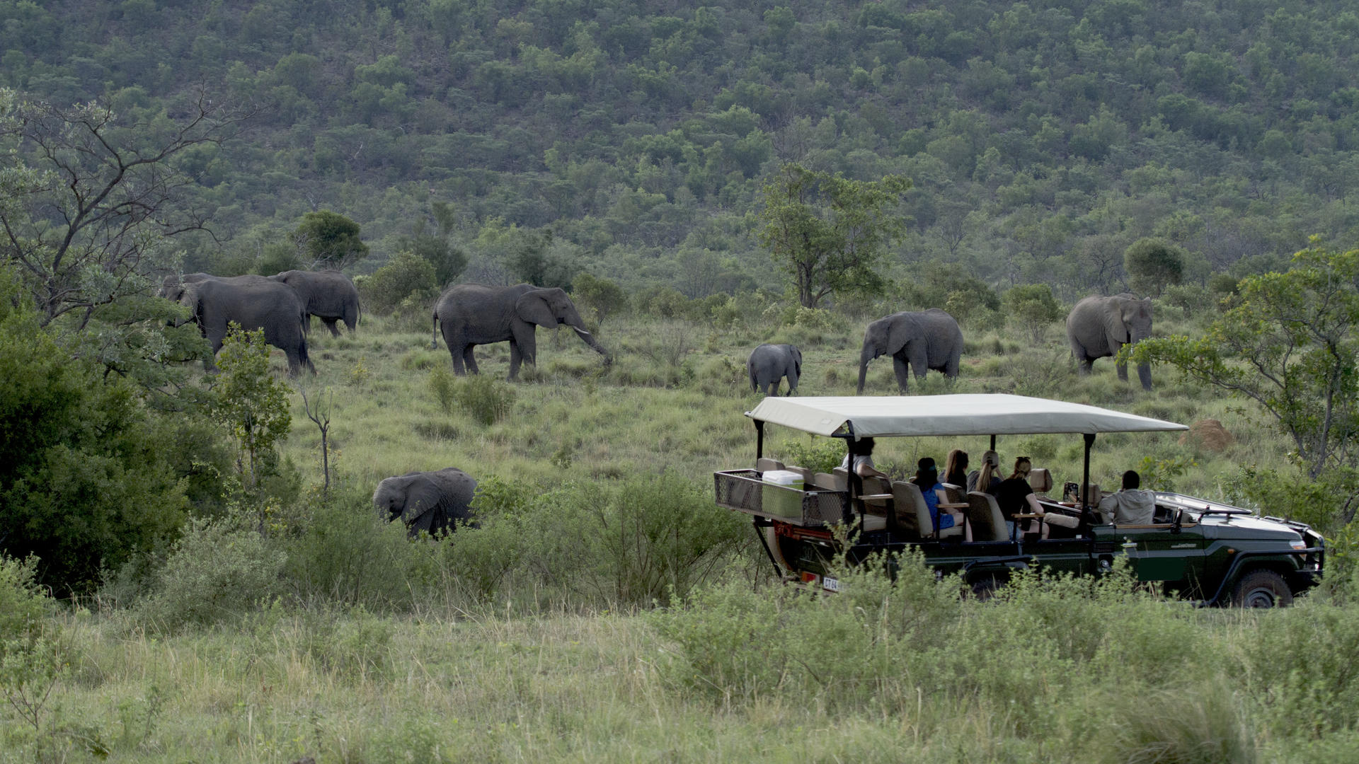 Inzalo Safari Lodge - Siyeza Safaris
