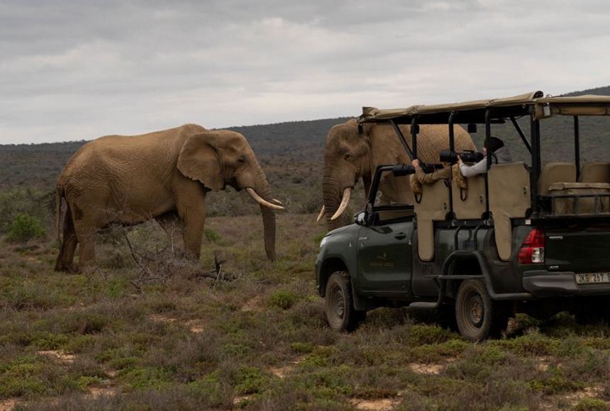 Kuzuko Lodge - Siyeza Safaris